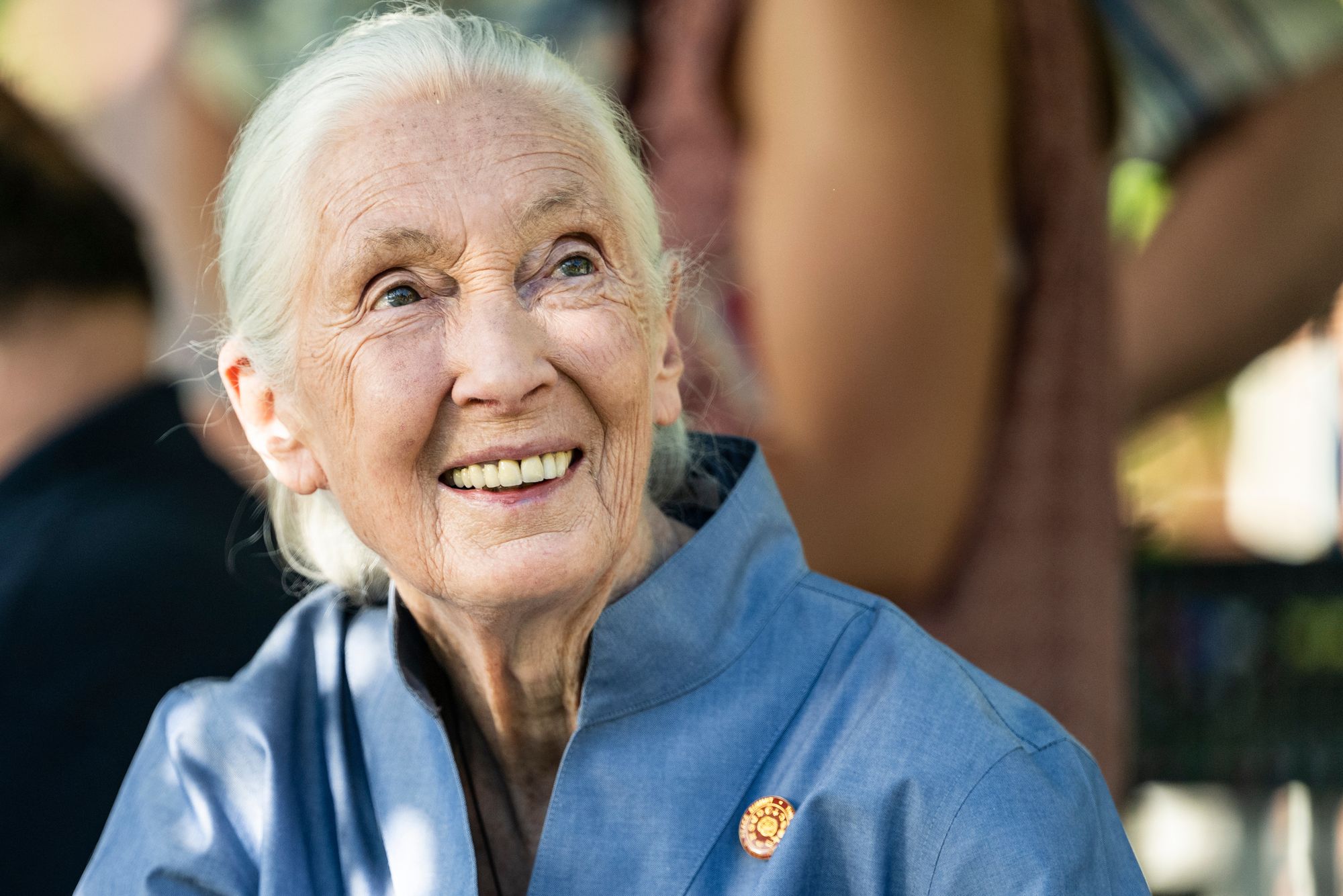 Jane Goodall death updates: Tributes pour in for ‘tireless advocate ...