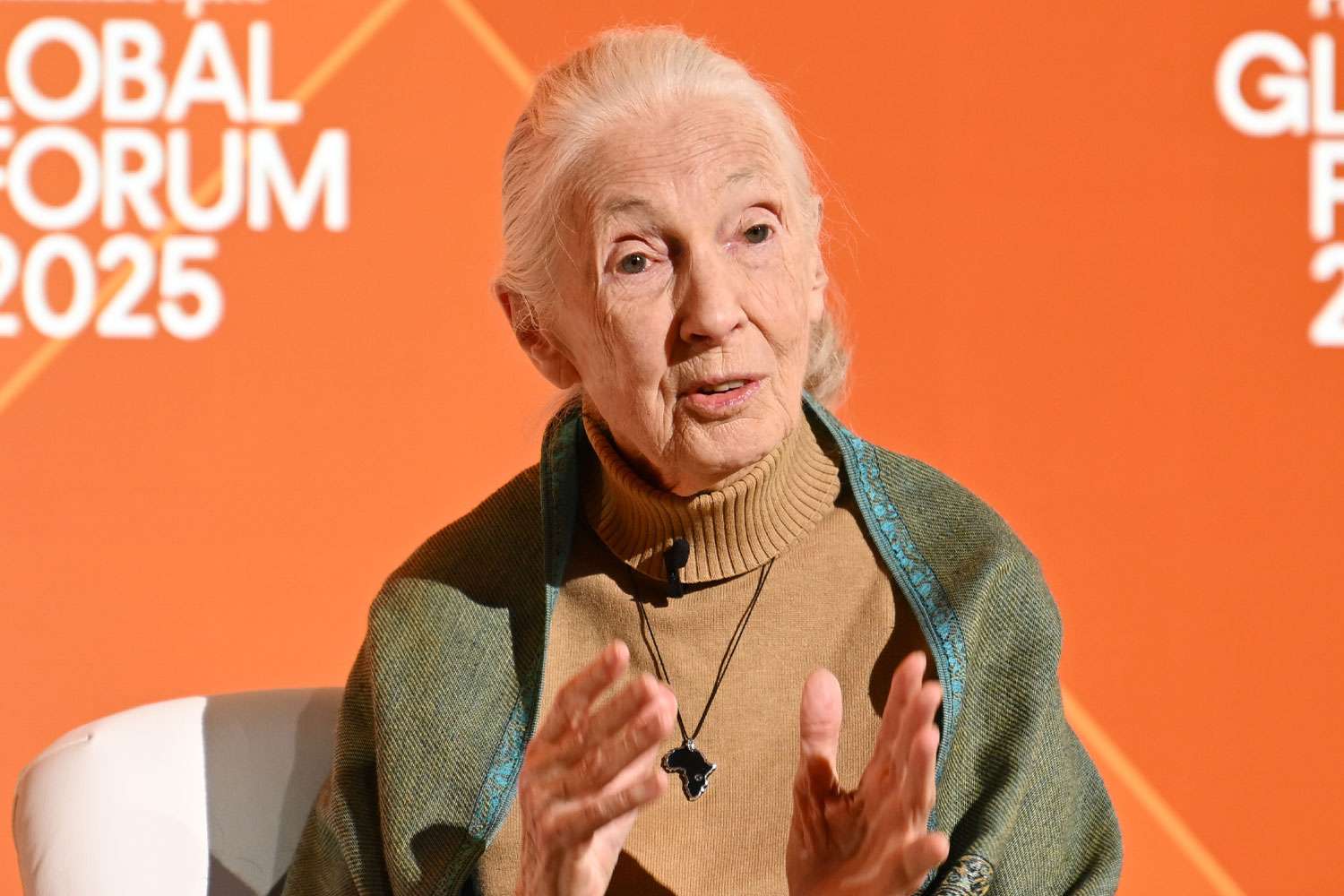How Jane Goodall Spent Her Final Days – and Why Retirement Wasn’t in ...