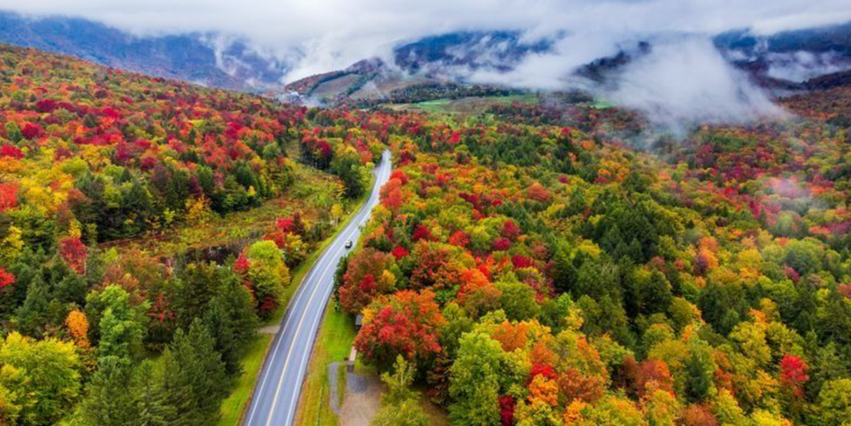 The Real Reason Why Leaves Change Color in the Fall Might Surprise You
