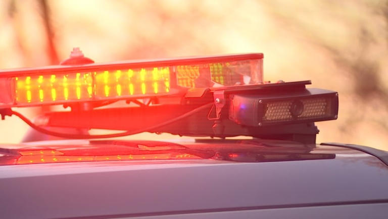 Woman arrested after more than 70 cats found dead in Kennewick apartment