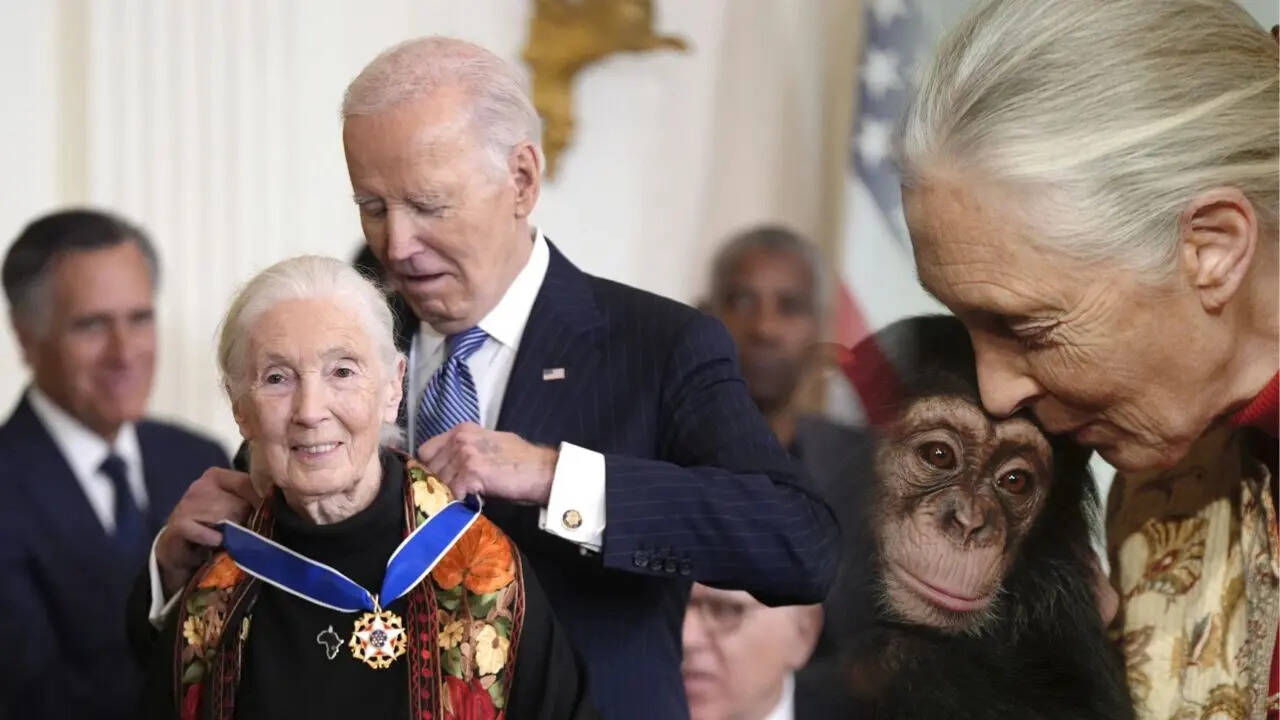 Jane Goodall Net Worth: Inside Iconic Scientist’s $5 Million Fortune ...