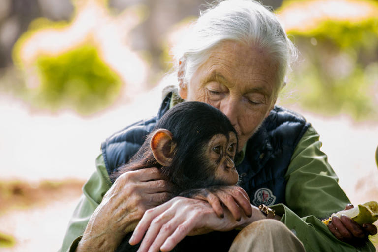 Jane Goodall, famed chimp expert, dies aged 91