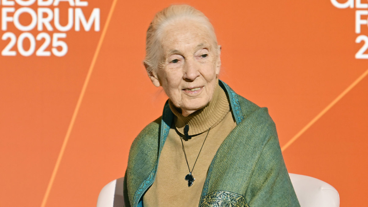 How Did Jane Goodall Die? The Beloved Primatologist's Cause of Death ...