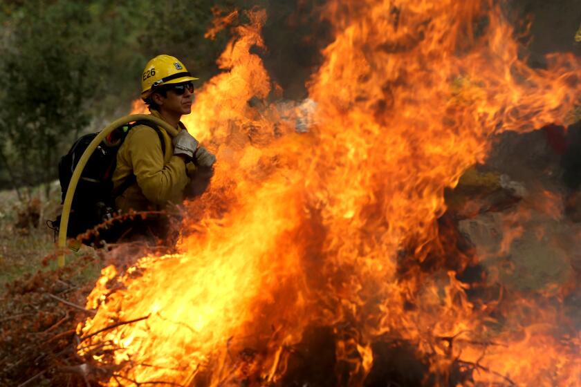 Here's what the government shutdown means for wildfires, weather and ...