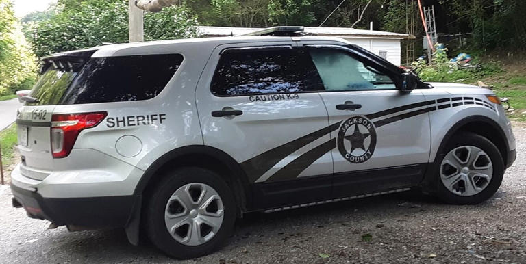 Man facing arson, animal cruelty charges after home destroyed, dog ...