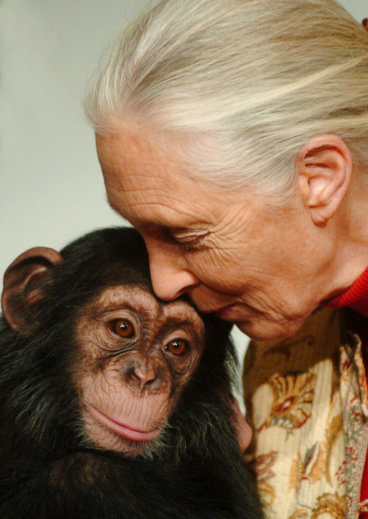 PHOTOS: Remembering renowned chimpanzee expert Jane Goodall, dead at 91