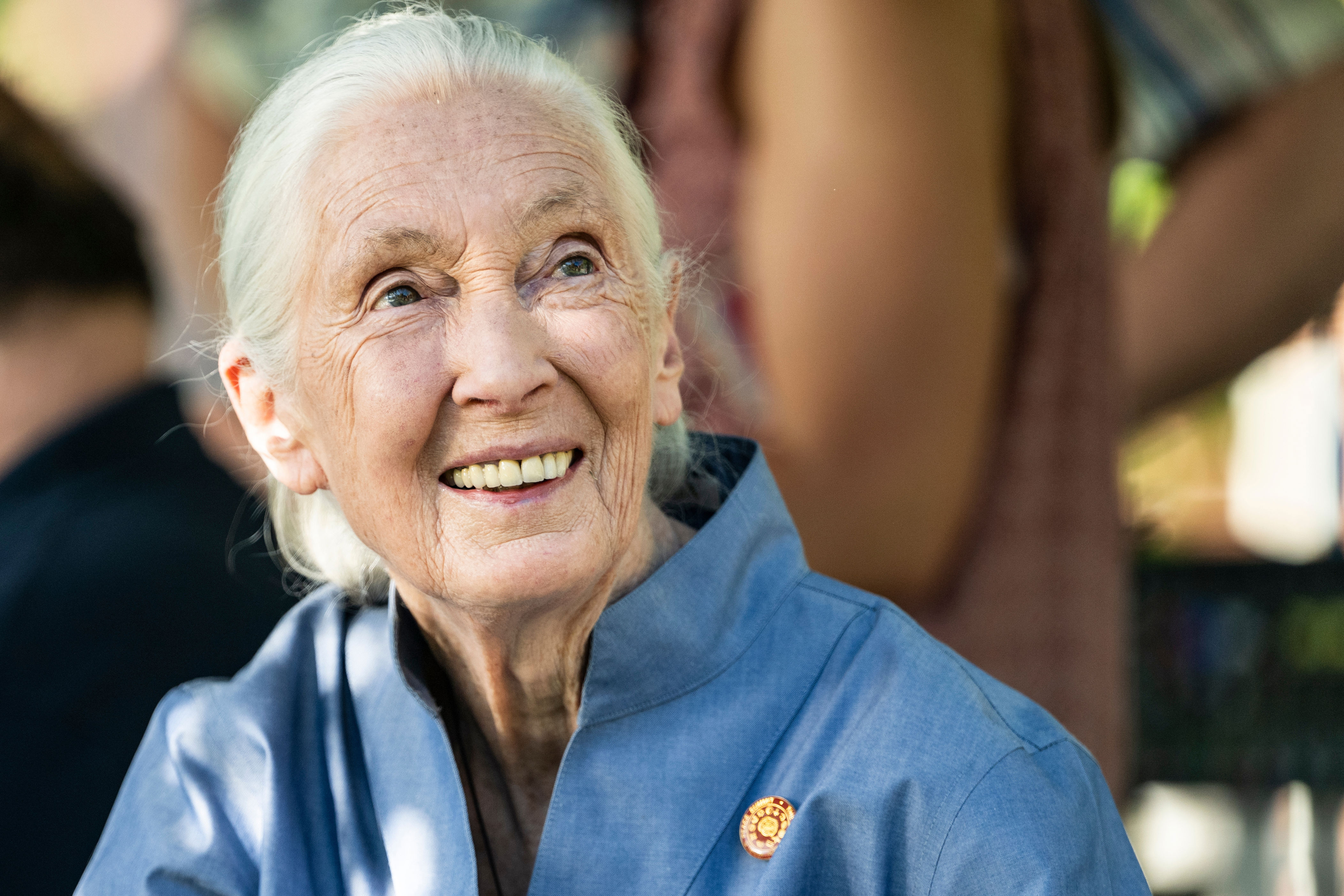 Jane Goodall: Conservationist renowned for groundbreaking chimpanzee ...