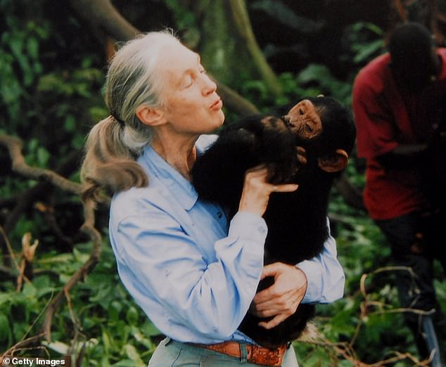 'She held our son, Archie': Harry and Meghan pay tribute to Jane ...