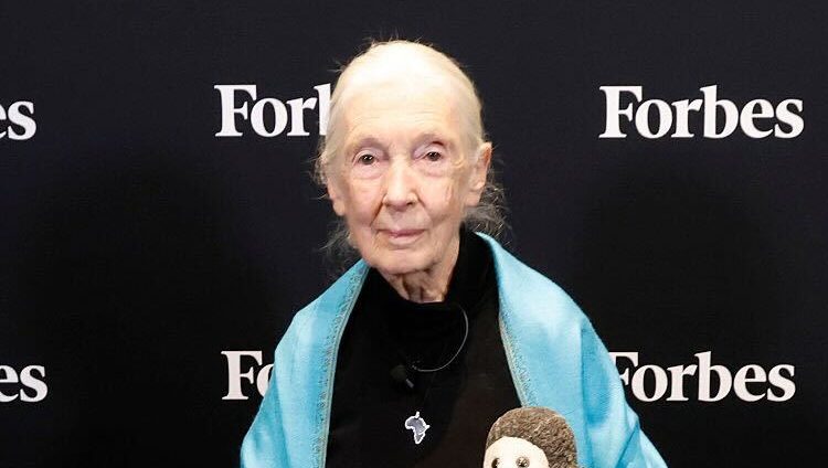 Who Is Jane Goodall? 5 Facts About the Chimpanzee Advocate, Her Movies ...