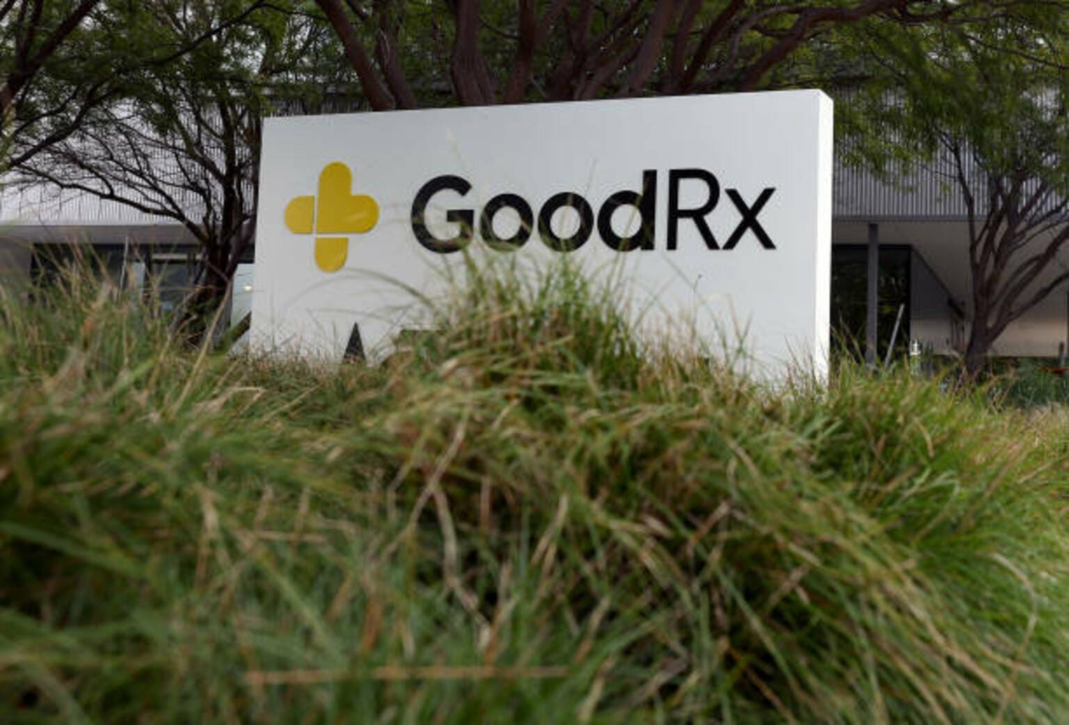 GoodRx gains with late session surge on CEO remarks; closes up 19%