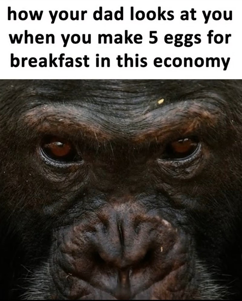 25 Monkey Memes in Honor of Jane Goodall