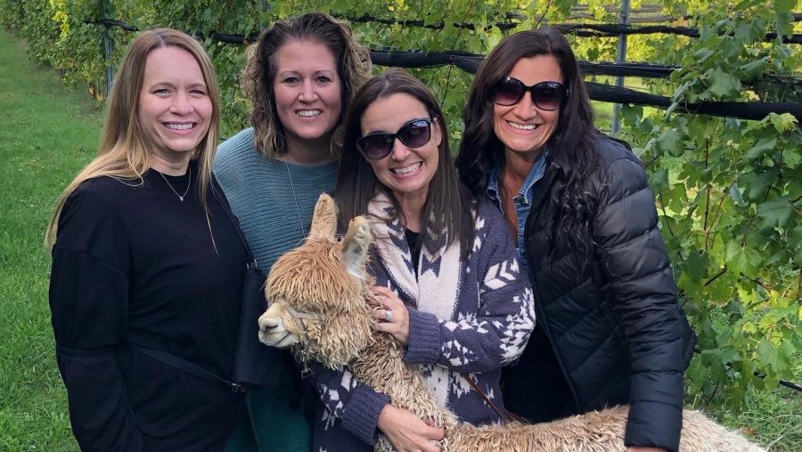 Lakeshore winery hosts free alpaca event at vineyard