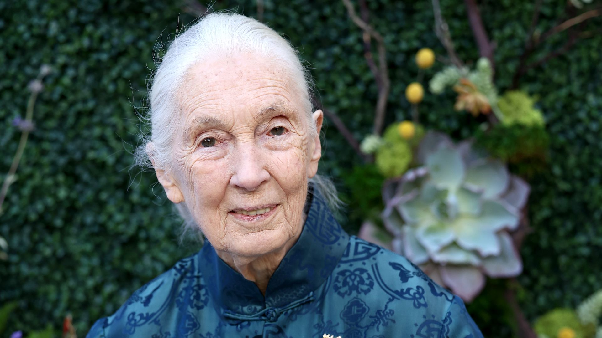 Conservationist and chimpanzee researcher Jane Goodall dies aged 91 ...