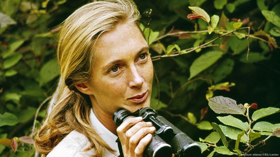 Jane Goodall said 'the biggest problem is greed'