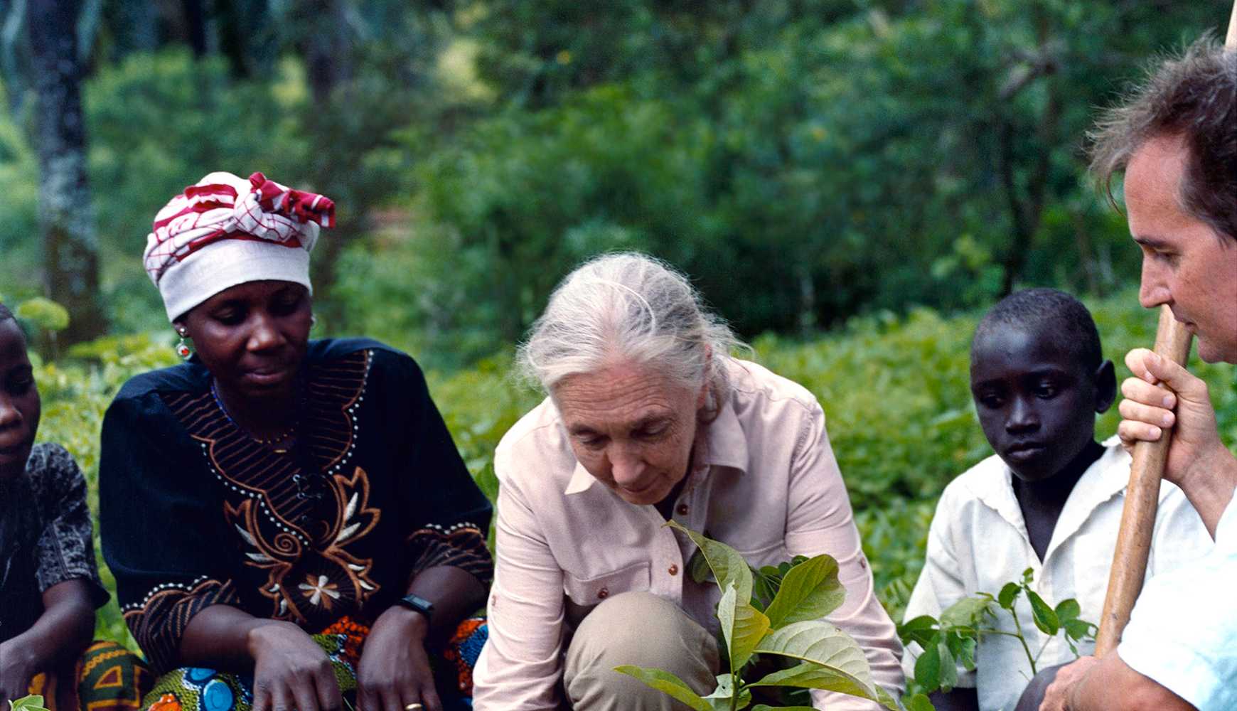 Jane Goodall, Famed Chimpanzee Researcher And Conservation Icon, Dies At 91