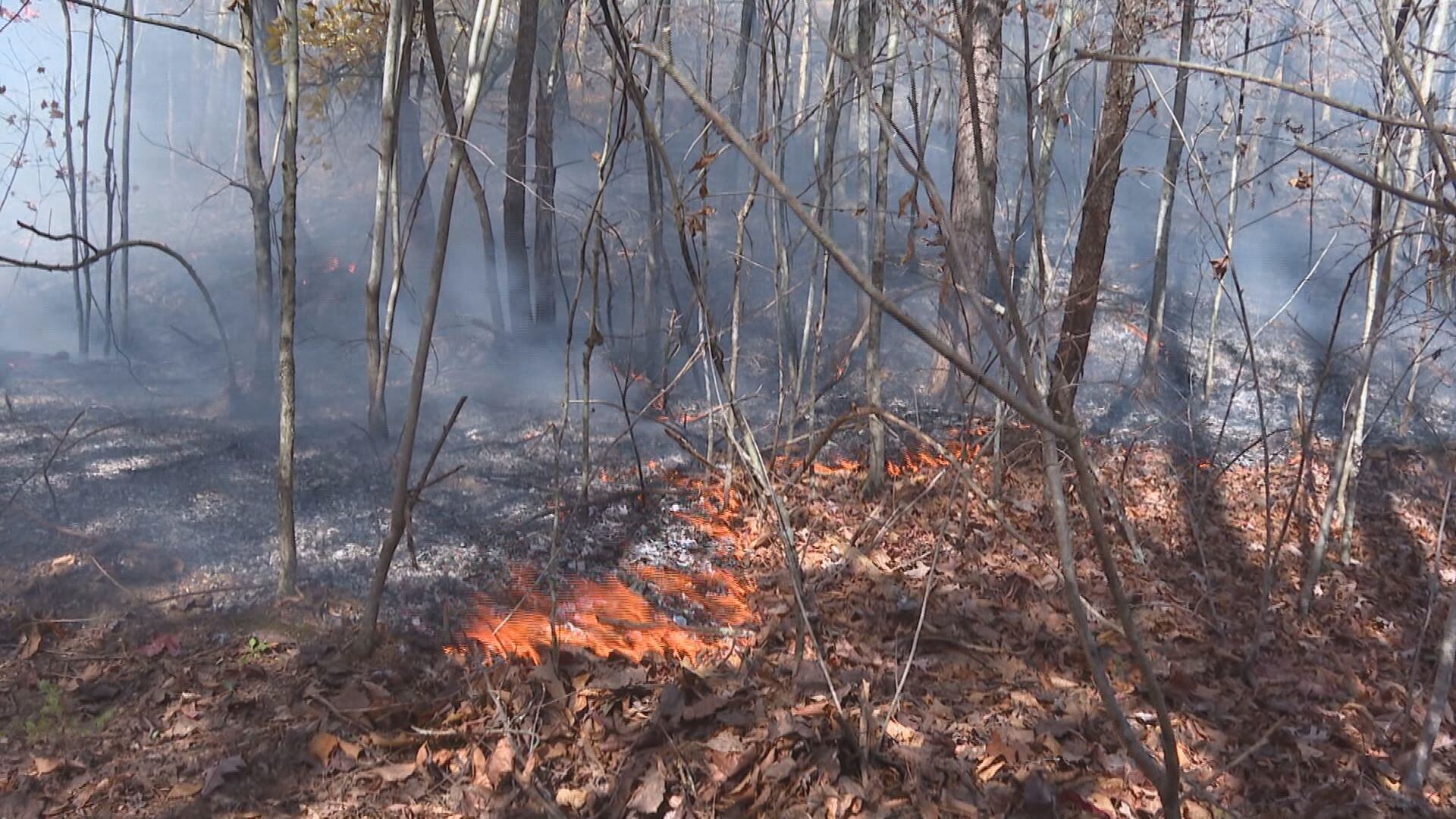 Burning restrictions in effect across Kentucky as forest fire season ...