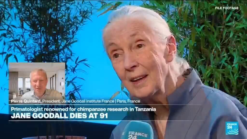 Celebrated primatologist and conservationist Jane Goodall dies at 91