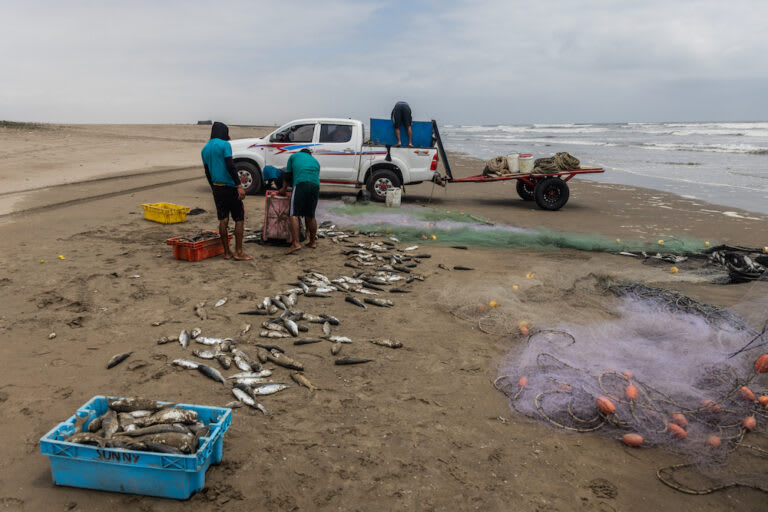 Illegal fishing threatens unique marine ecosystem in Peru