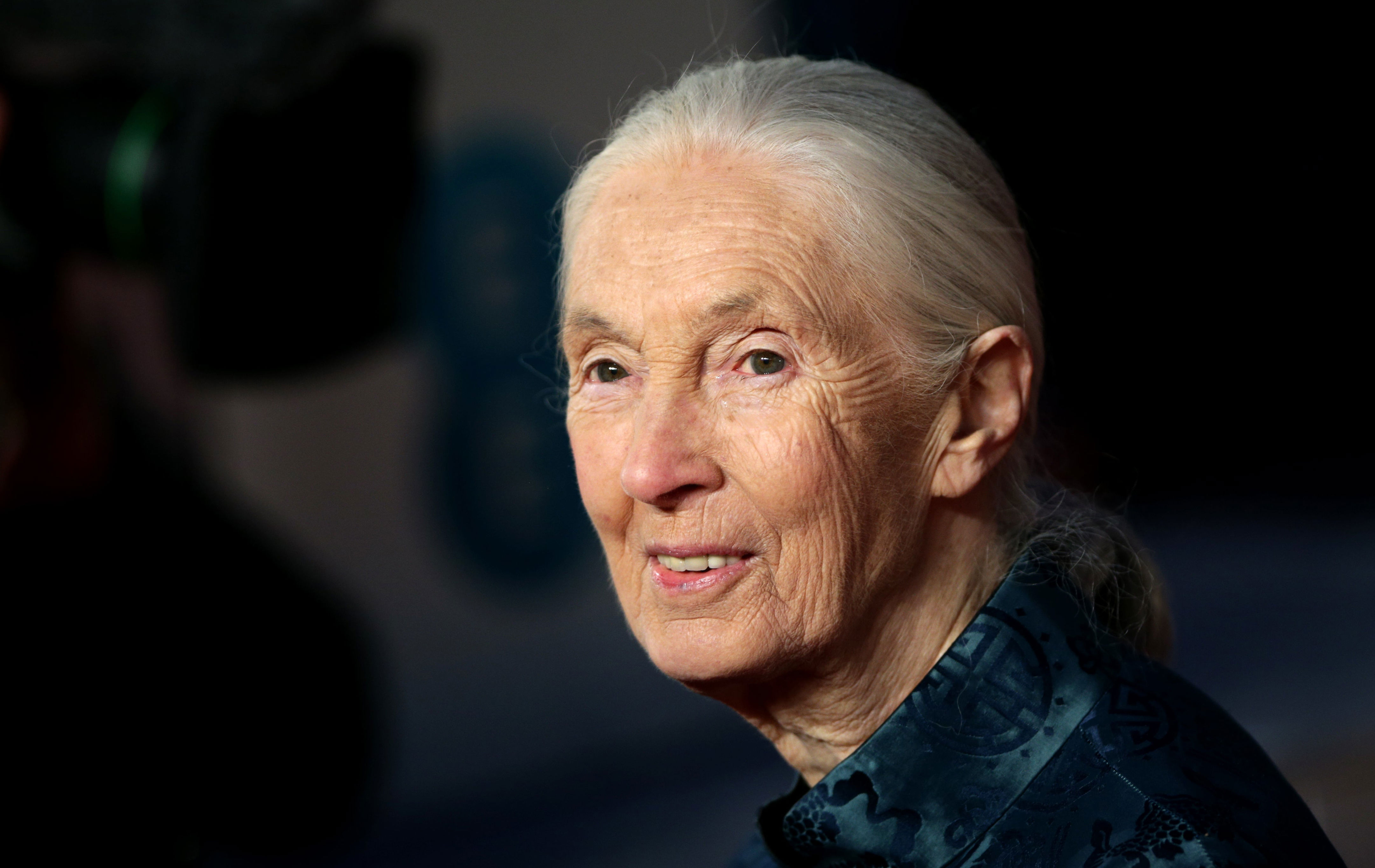 Harry and Meghan lead tributes to ‘visionary’ Jane Goodall: ‘She held ...