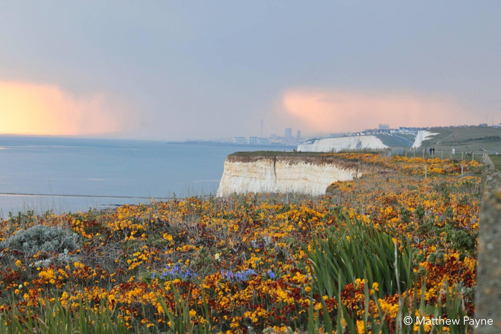 What's on at Peacehaven Town Council