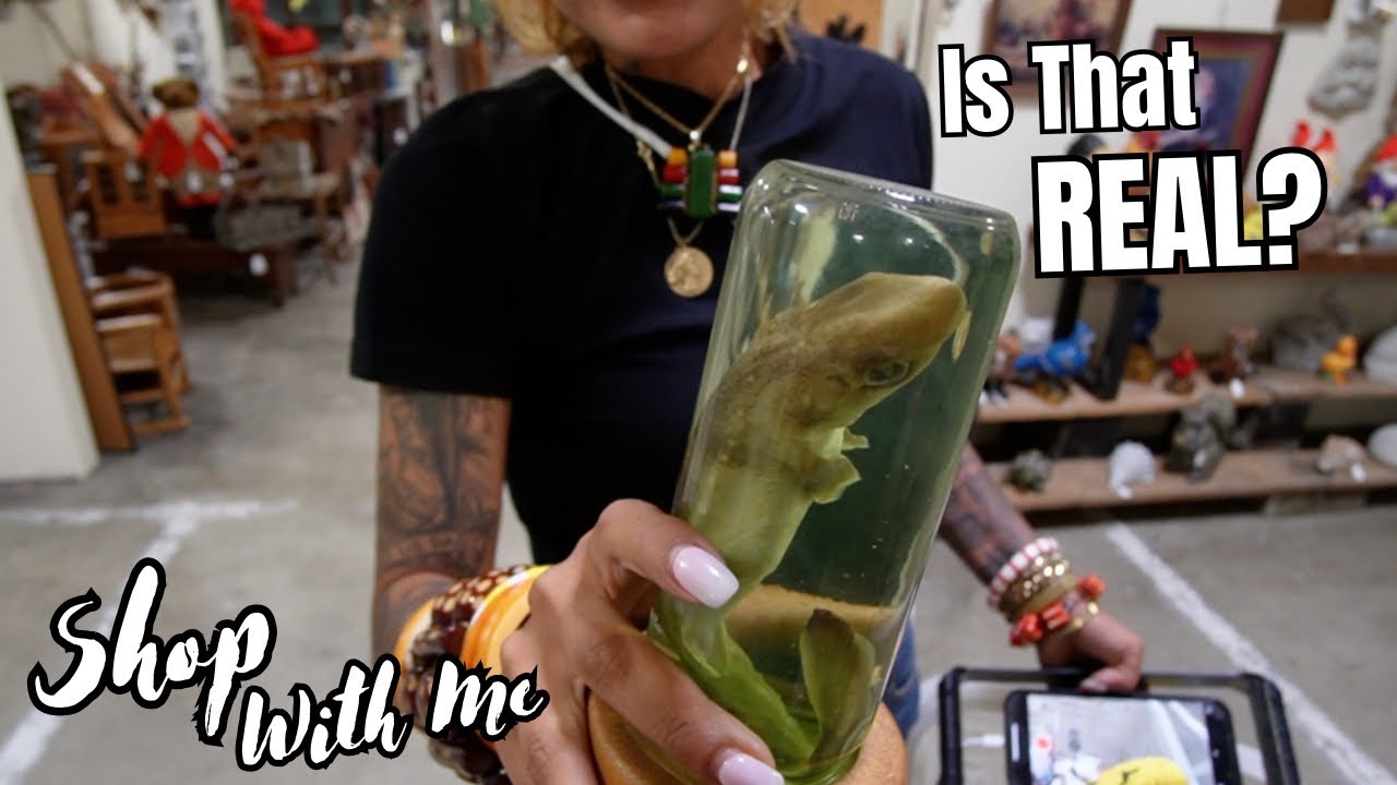 Wait, Is That Real? | Shop with Me