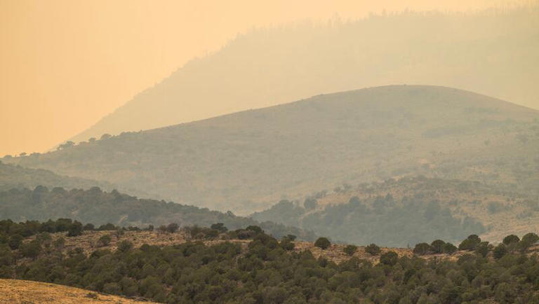 Opinion: In the face of flames, foresight is our greatest defense