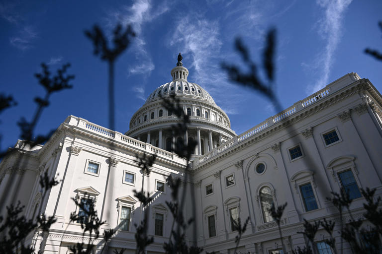 Do Trump and Congress still get paid during a shutdown? What to know.