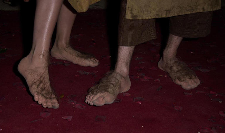 Scientists May Have Figured Out Why Real-Life ‘Hobbits’ Were So Small