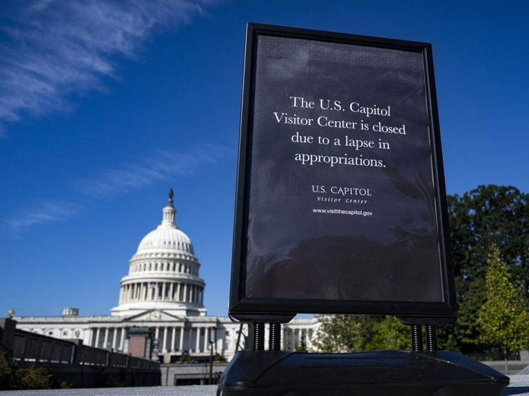U.S. government shutdown: Canadians should expect delays and long wait ...