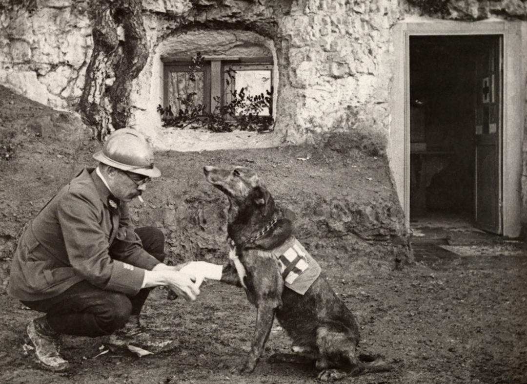 20 Photos That Perfectly Capture Life in 1917