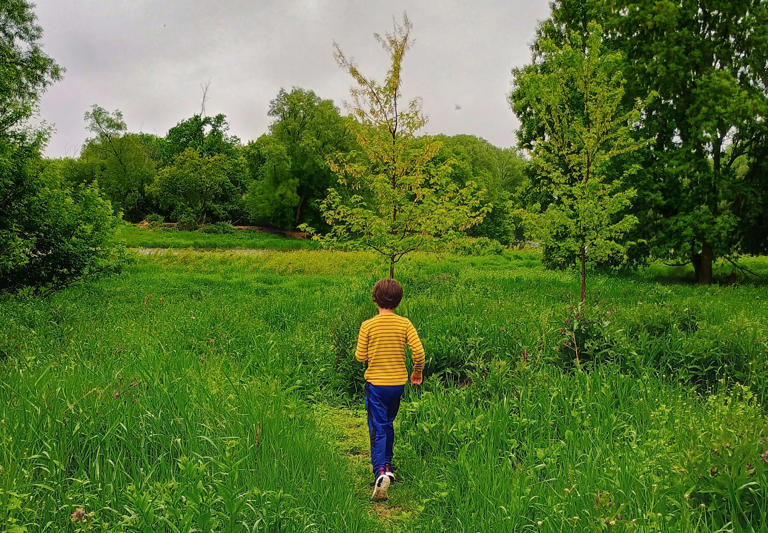 There are different forms of autism and age is a factor, a genetic ...