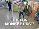 Thug 'high on monkey dust' causes chaos in Stoke-On-Trent pharmacy