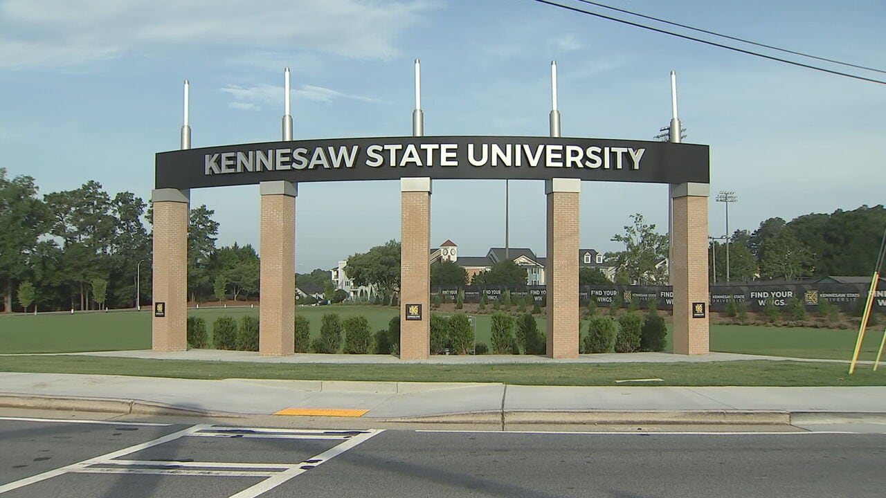 KSU professor gets $200,000 grant to create treatments for drug ...