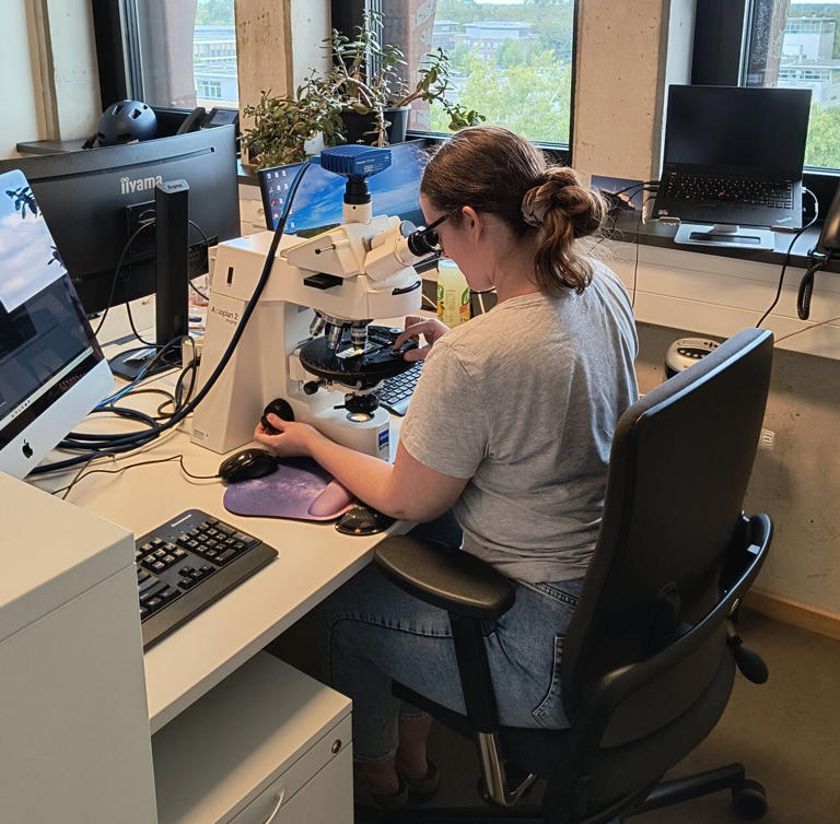 Deep-sea sediment cores reveal major ecological turnover before warming ...