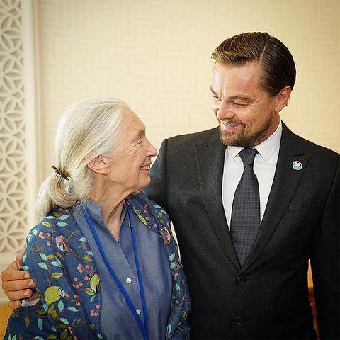 Jane Goodall Dies at 91 While on Speaking Tour: She Was a 'Tireless ...