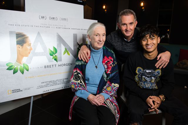 All About Jane Goodall's Son, Hugo 'Grub' Eric Louis van Lawick