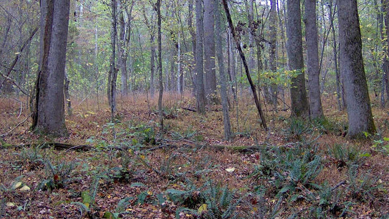 10 of America's Most Haunting Hikes