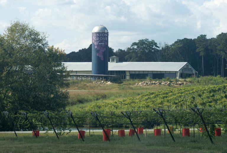 Orange County farmer won't fight decision denying controversial ...