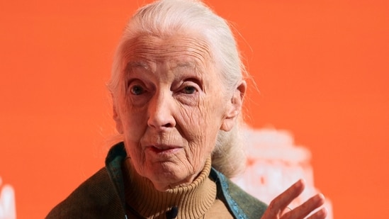 Jane Goodall dies: Who were her husbands Baron Hugo, Derek Bryceson ...