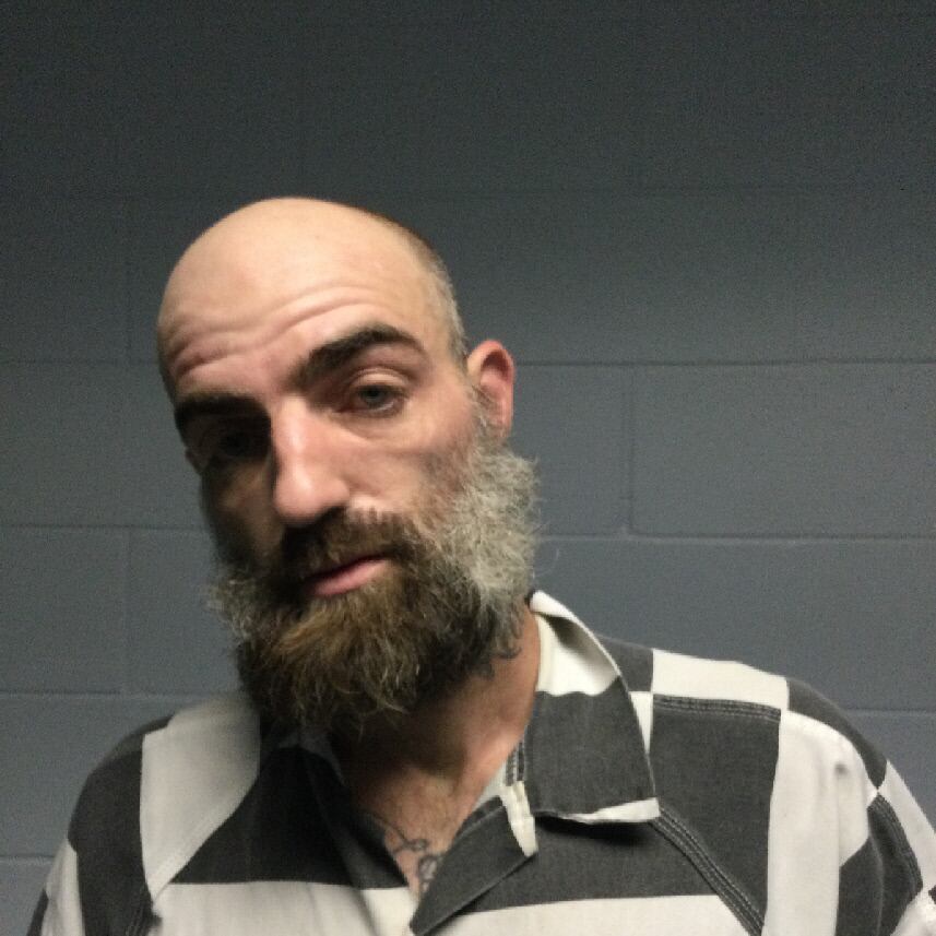 13 arrested in Polk County following theft, drug investigations