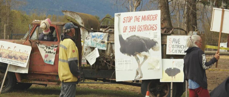 Assault and arson at property neighbouring B.C. ostrich farm facing ...