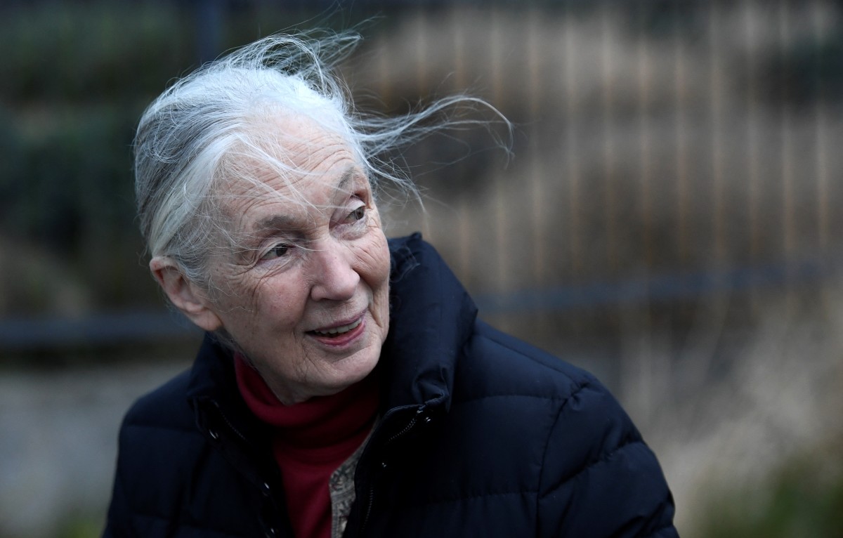 Dr. Jane Goodall’s Net Worth at the Time of Her Death