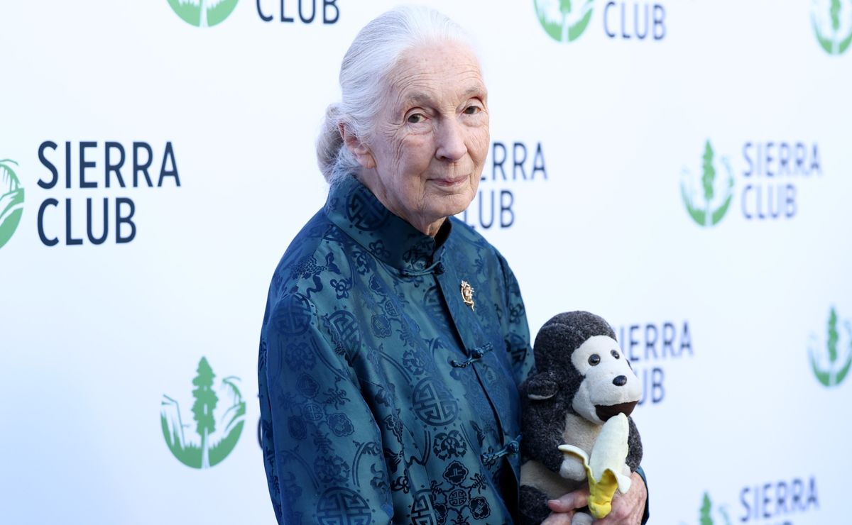 The Essential Library of Dr. Jane Goodall: Her Most Impactful Books and ...