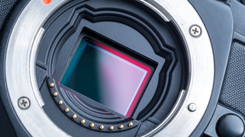 What Is A Cropped-Sensor Camera, And How Is It Different From Full Frame?