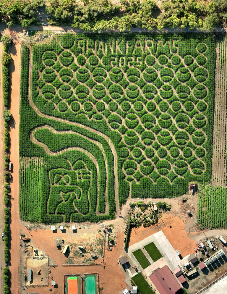 California’s top 5 pumpkin patches to explore this fall