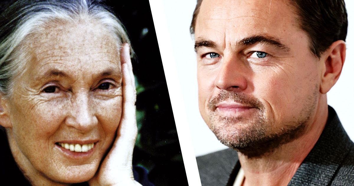 Leonardo DiCaprio Pens Tribute to his ‘Dear Friend,’ Jane Goodall