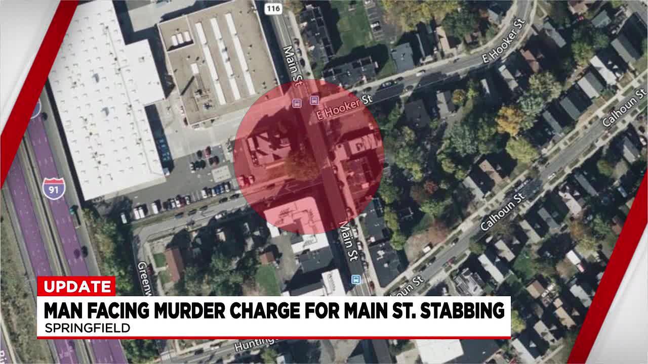 Suspect in deadly stabbing in Springfield identified
