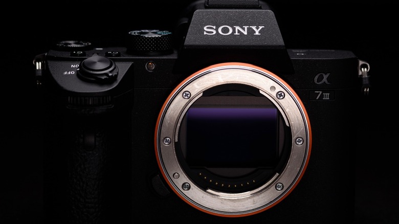 What Is A Cropped-Sensor Camera, And How Is It Different From Full Frame?