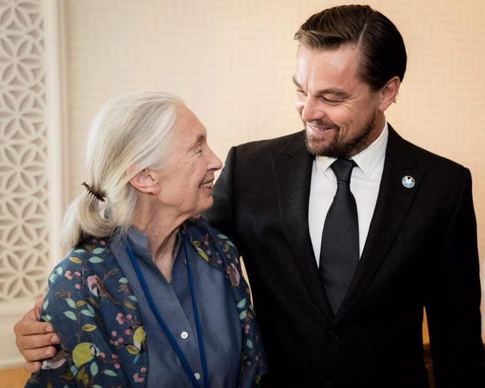 Jane Goodall’s 11 Daily Habits That Helped Her Live 91 Years