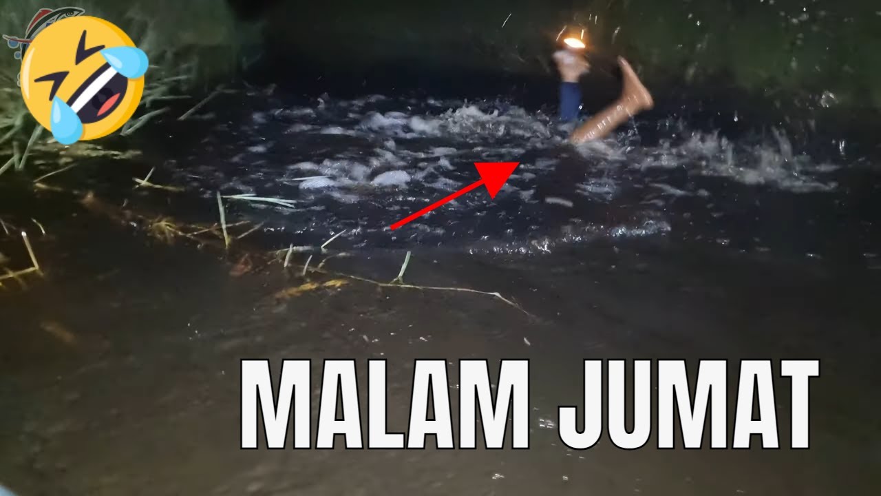 Momen Tak Terduga Saat Spearfishing di Malam Hari!